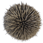 Uncovering the Secrets of Magnetic Metals: What Makes a Metal Magnetic ...