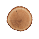 Understanding Wood Density: A Comprehensive Guide to Various Wood ...
